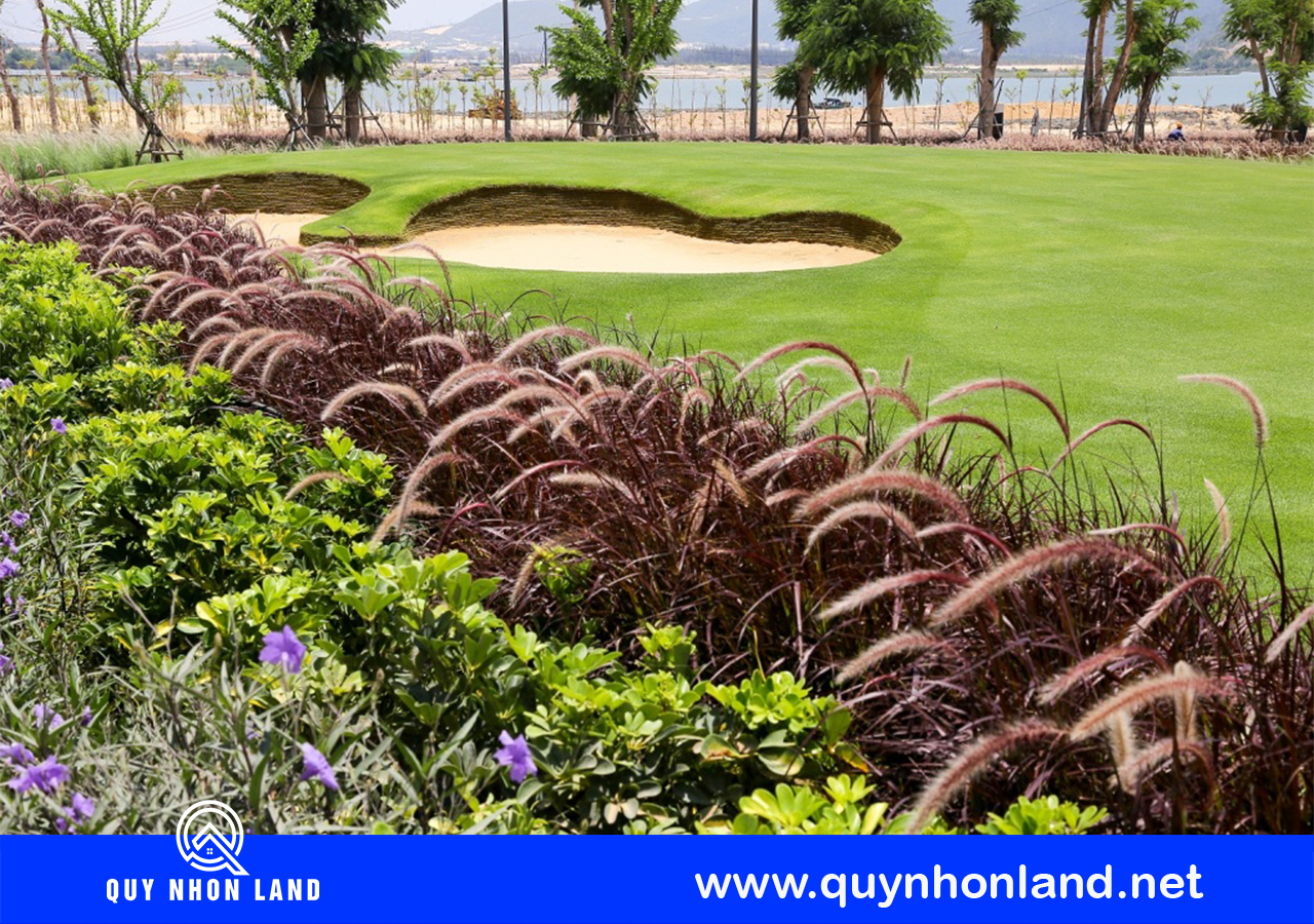 MerryLand Golf Club kỳ vọng thành điểm du lịch golf quốc tế tại bán đảo ...